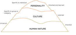 National Culture and Organisational Culture - how are they different ...